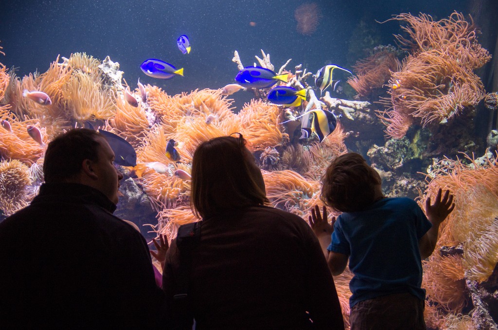 Fun, Trusted Financial Wellness Tools for You and Your Organization ...